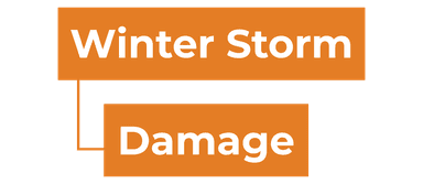 Winter Storm Damage - Disaster Blaster