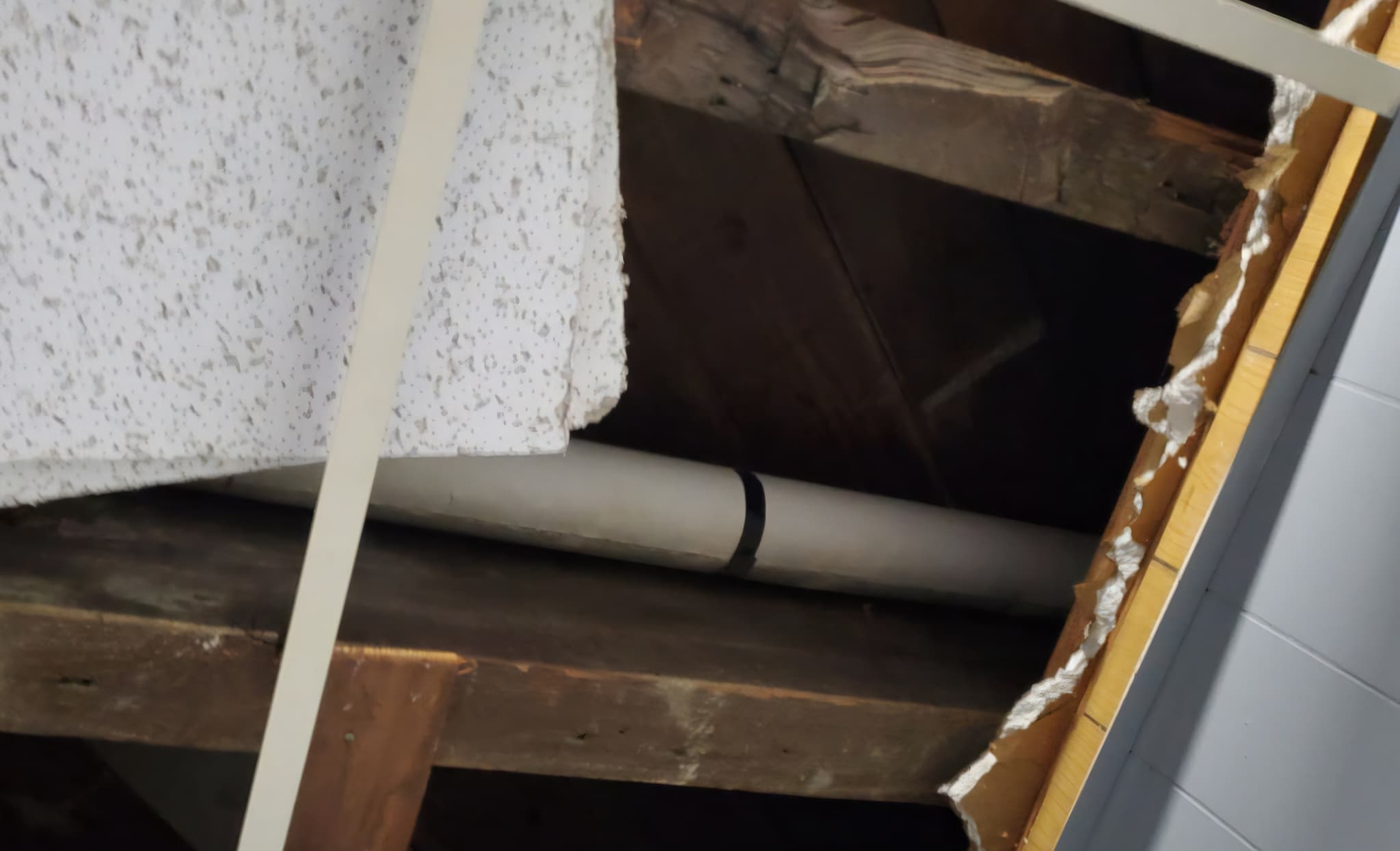 What should you do if you find Asbestos in your house?