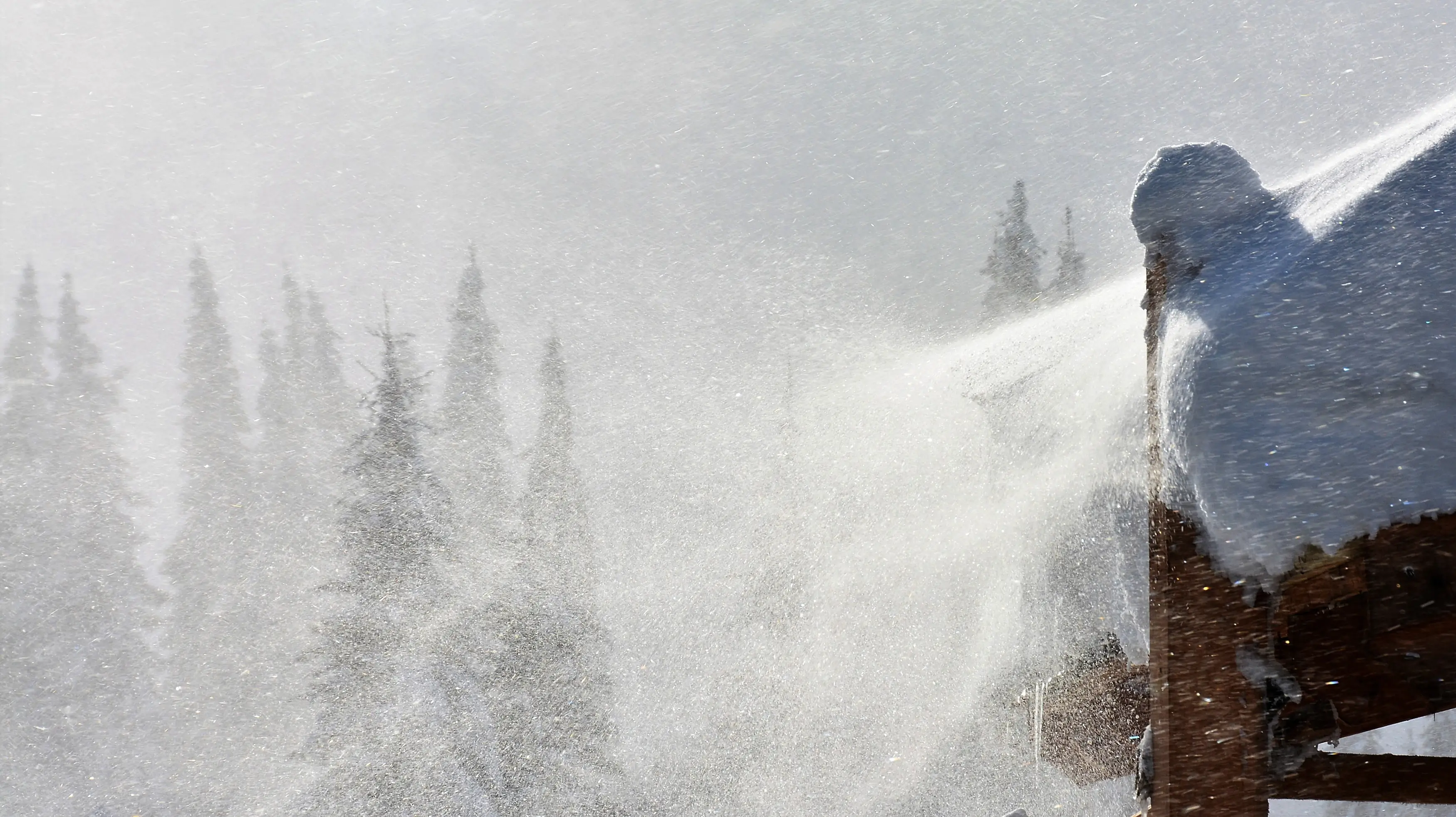 Winter Storm Damage - Disaster Blaster